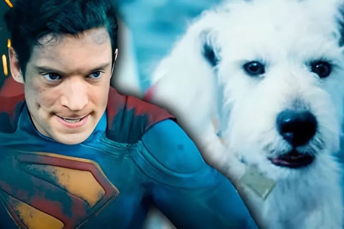 Krypto, el perro de Superman, inspira un auge de adopciones de mascotas ...