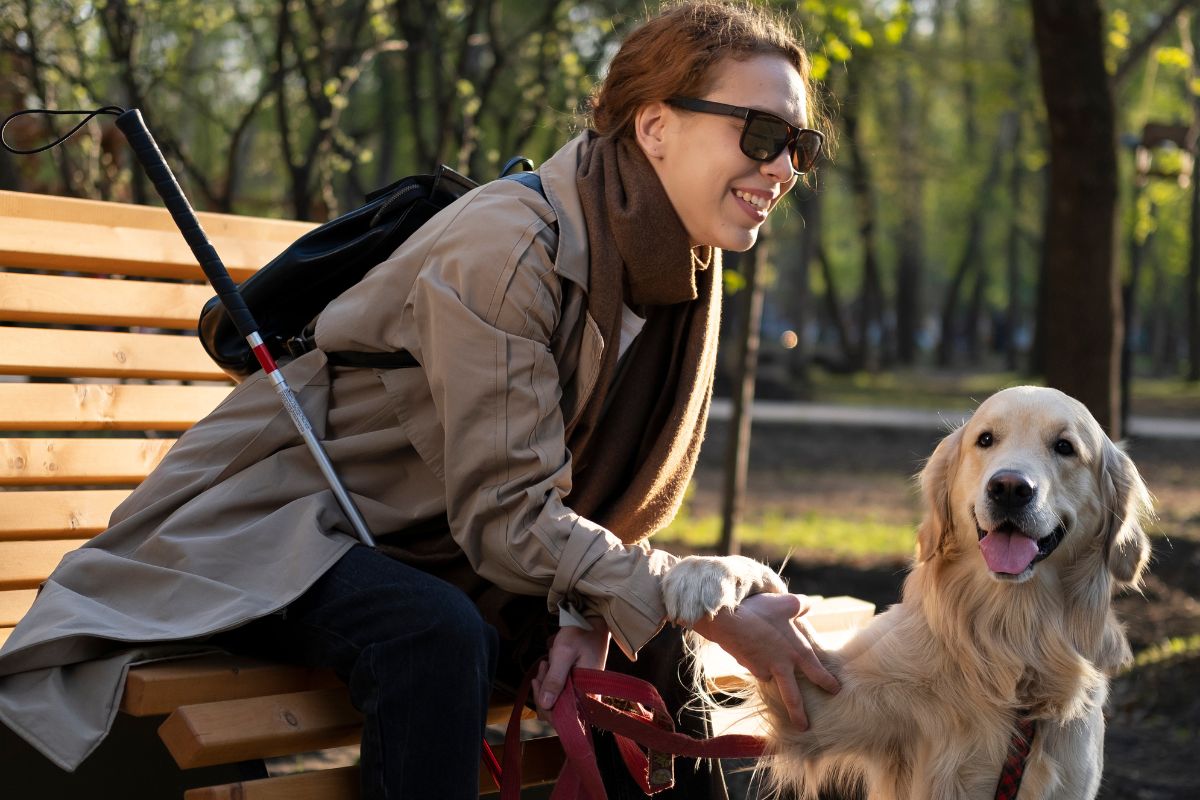 En el Día Internacional del Perro Guía celebramos a estos increíbles ...