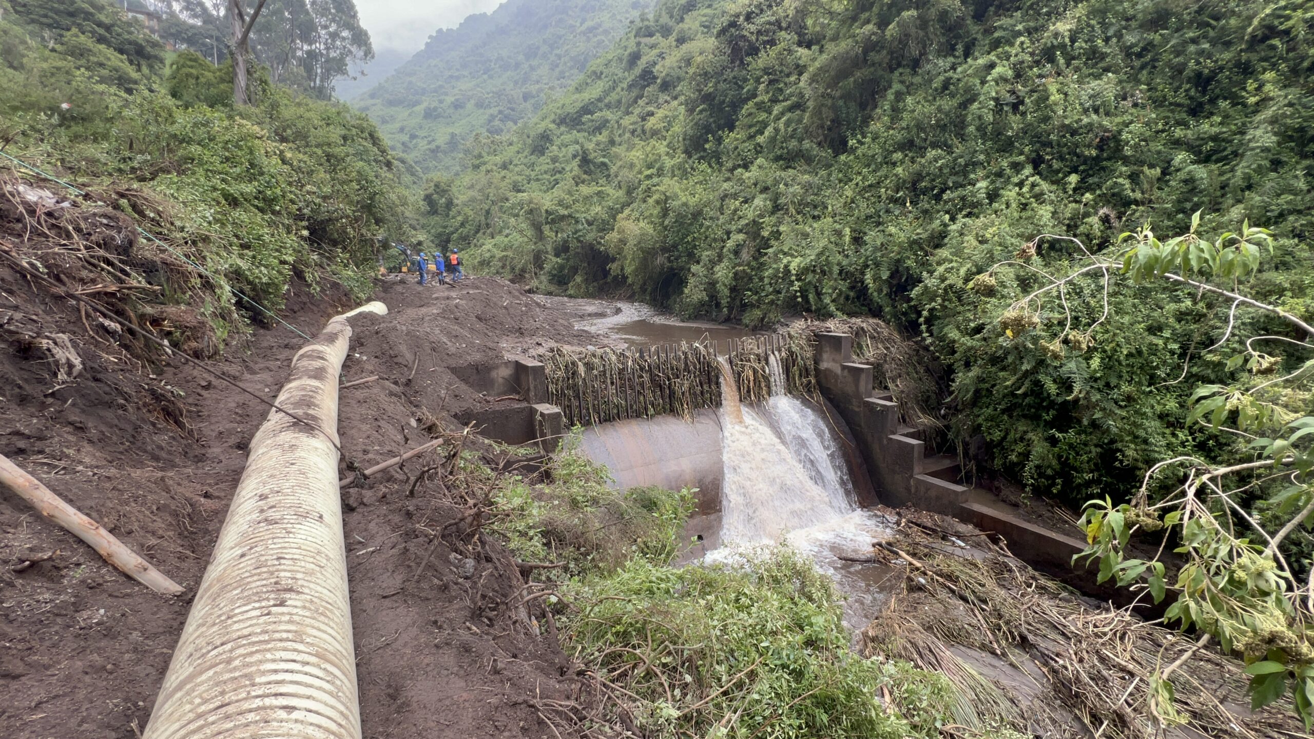Tres visiones para un manejo sostenible de las quebradas en Quito - El ...