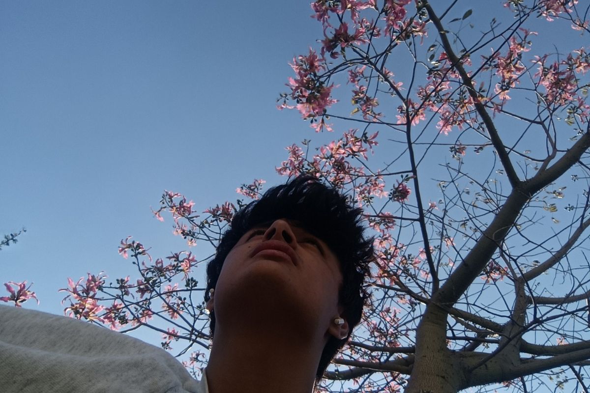 Estudiantes deciden regresar desde Argentina a Ecuador - El Comercio