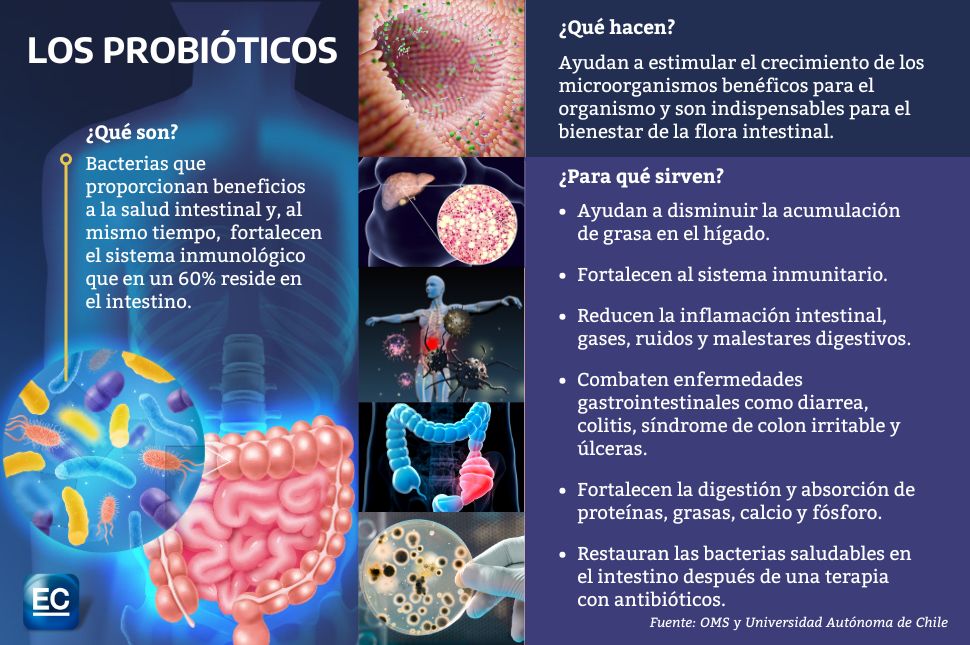 Probióticos son el secreto para una salud digestiva equilibrada - El ...