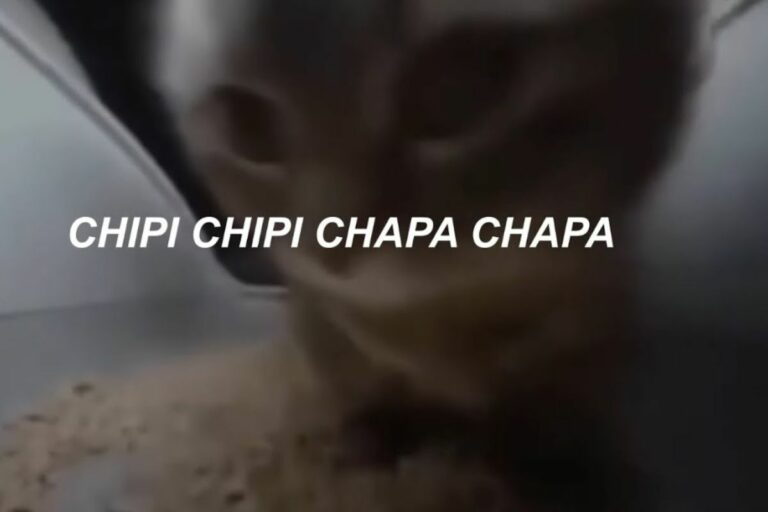 ¿Por qué se volvió viral el 'Chipi Chipi Chapa Chapa'? - El Comercio