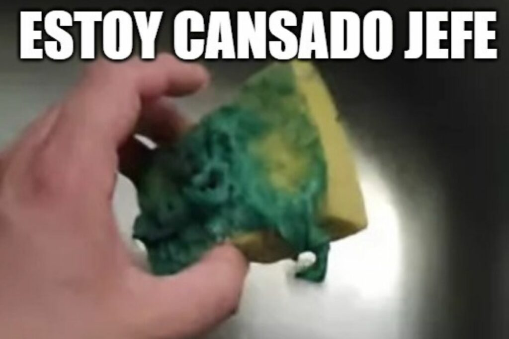 ¿De dónde viene el audio "Estoy cansado, jefe" que inunda la red? - El ...