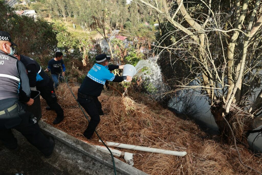 Incendio forestal de Guápulo tiene focos activos, según Pabel Muñoz ...