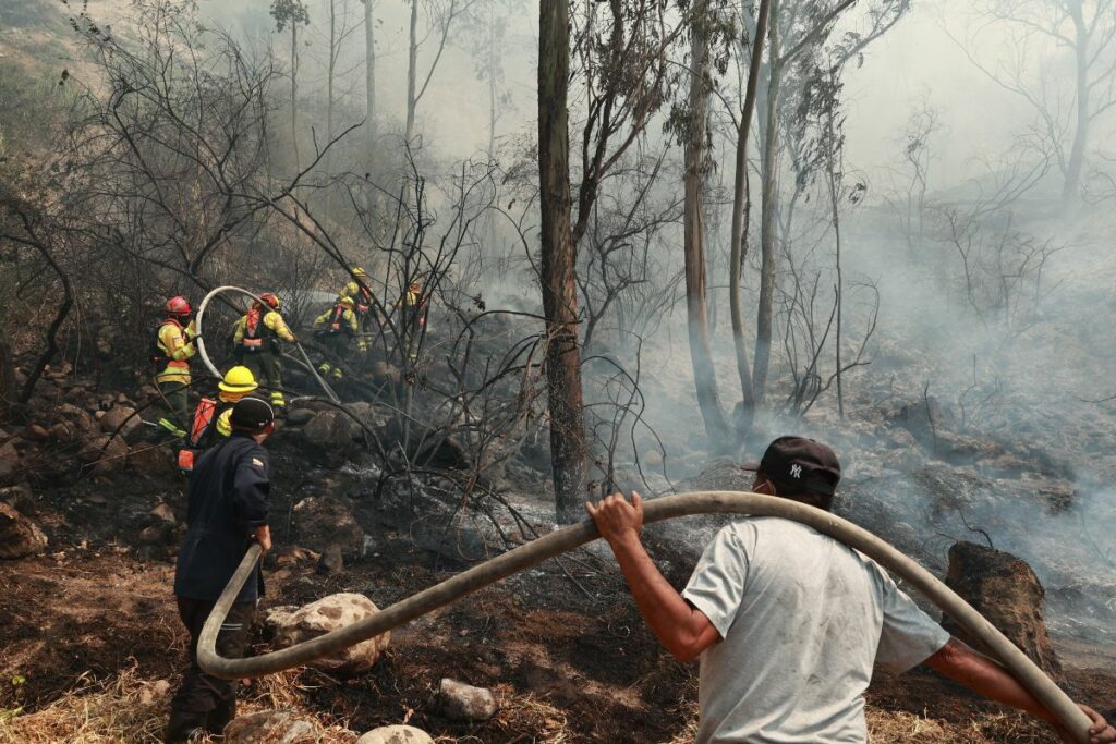 Quito soportó 12 incendios forestales en una sola semana - El Comercio