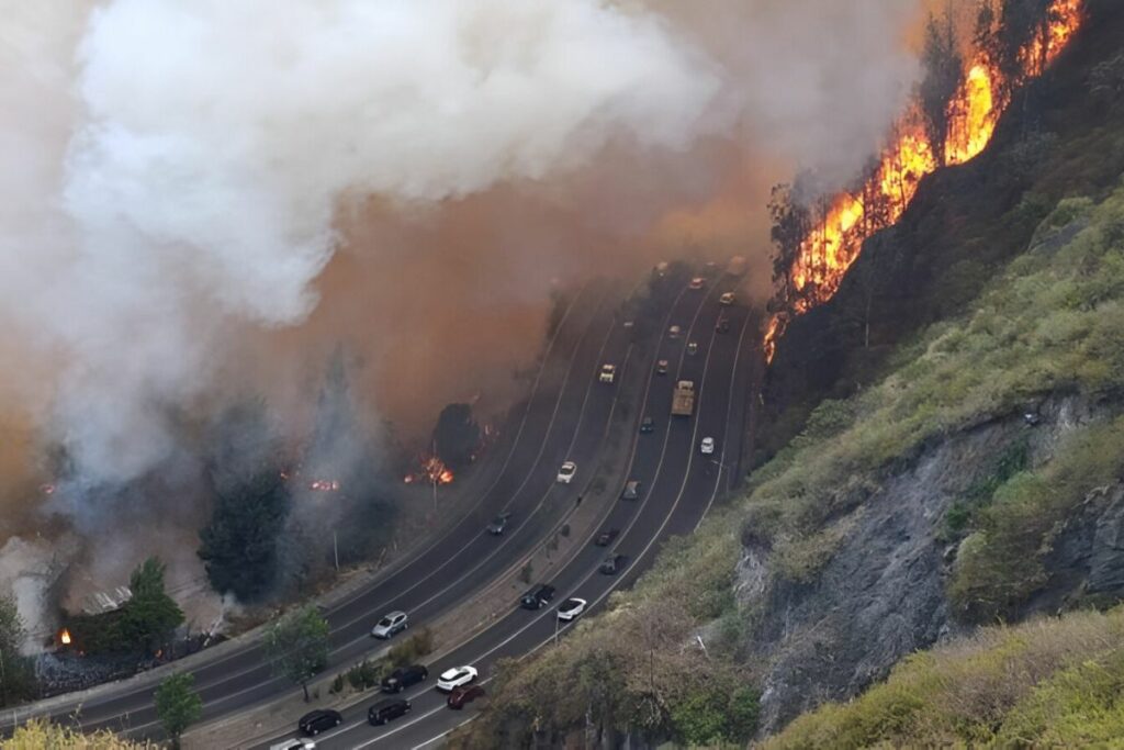 Incendio forestal en Guápulo; túnel Guayasamín y av. Simón Bolívar ...