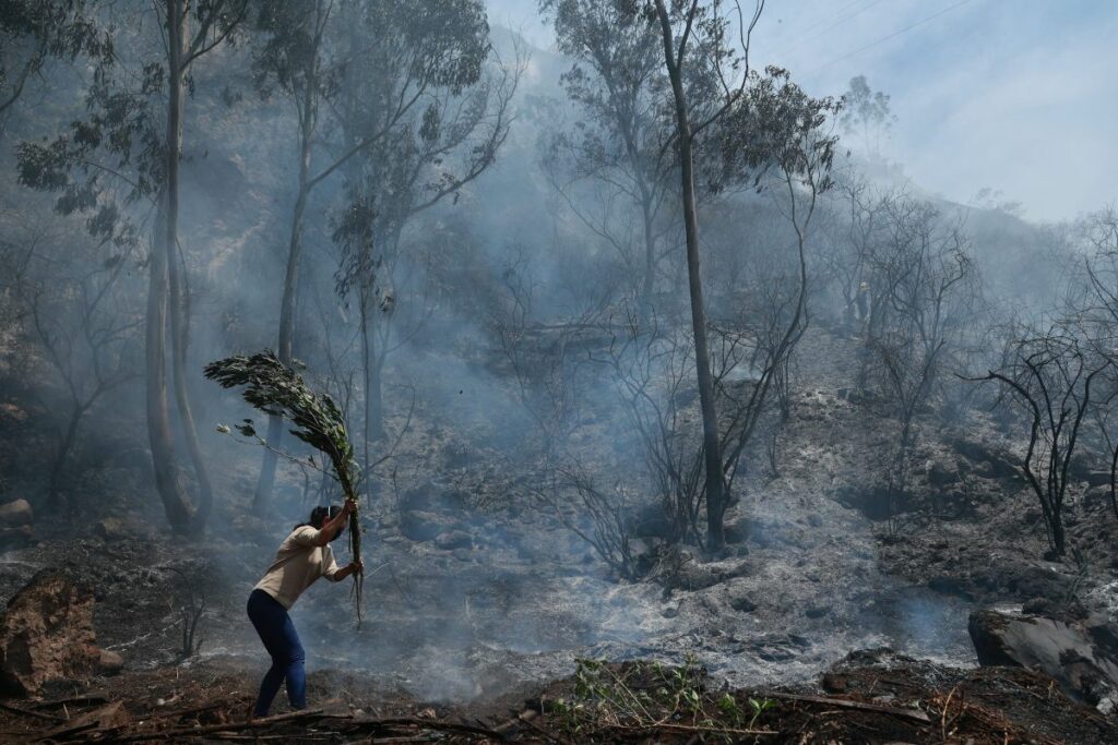 La sequía activa los incendios forestales en Ecuador - El Comercio