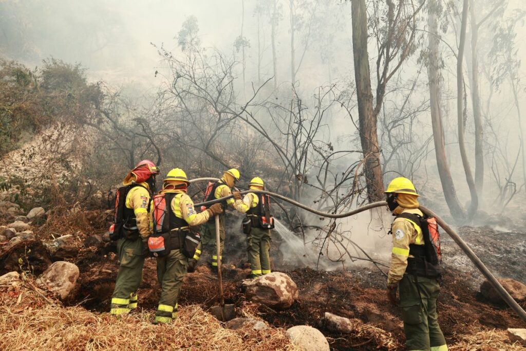 Por estas razones hubo incendios forestales en Ecuador - El Comercio