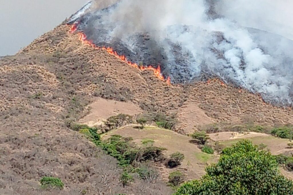 Ecu 911 registró 27 incendios forestales en Ecuador este lunes 11 de ...