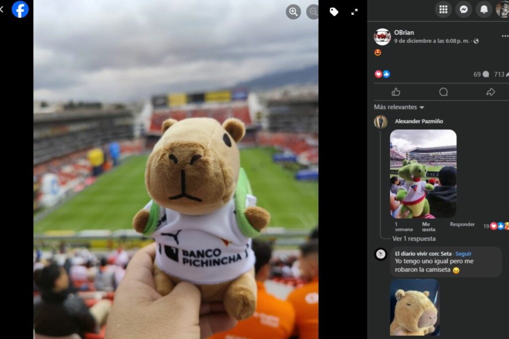¿Por qué los capibaras se han convertido en un ícono viral? - El Comercio