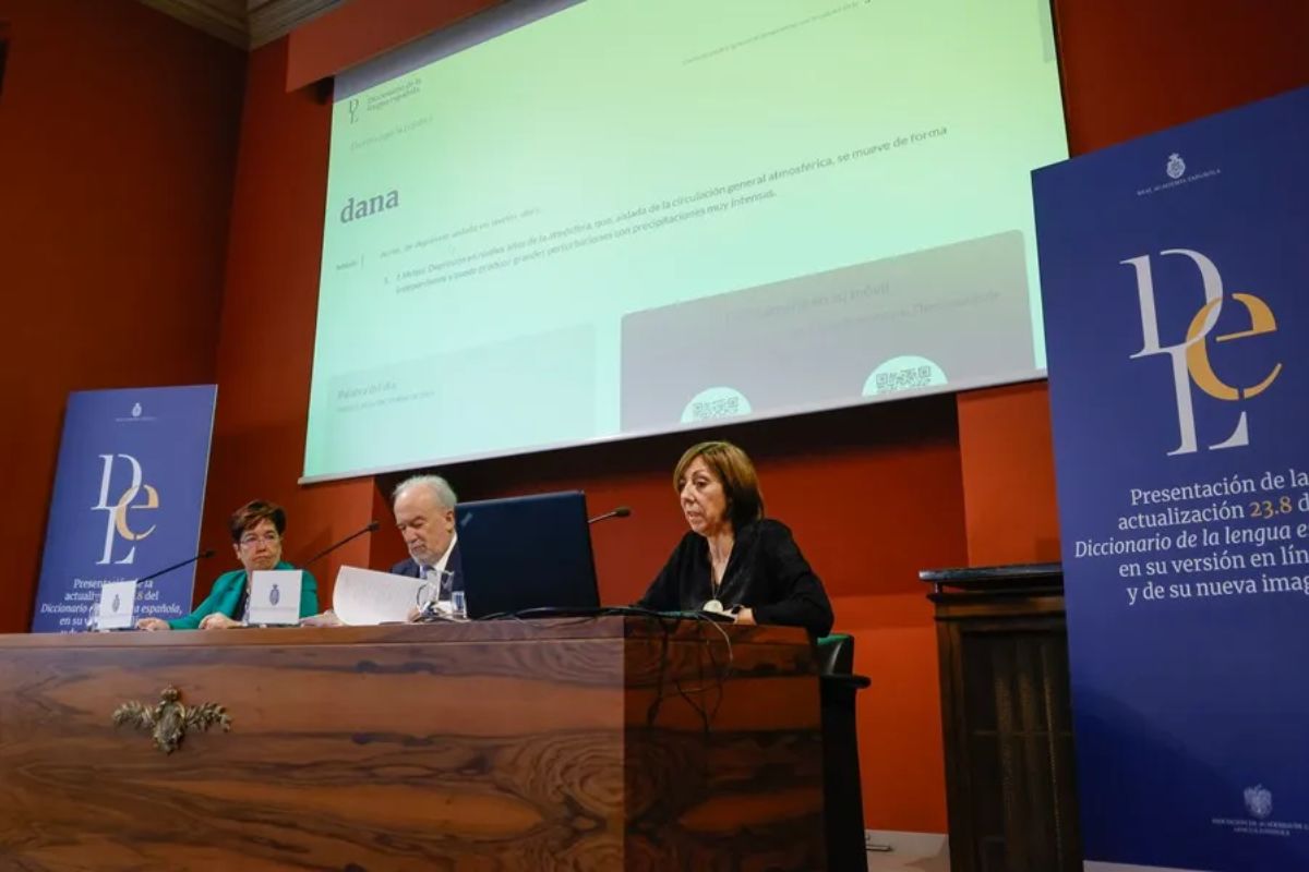 Conoce las nuevas palabras incluidas en el Diccionario de la RAE 2024 ...