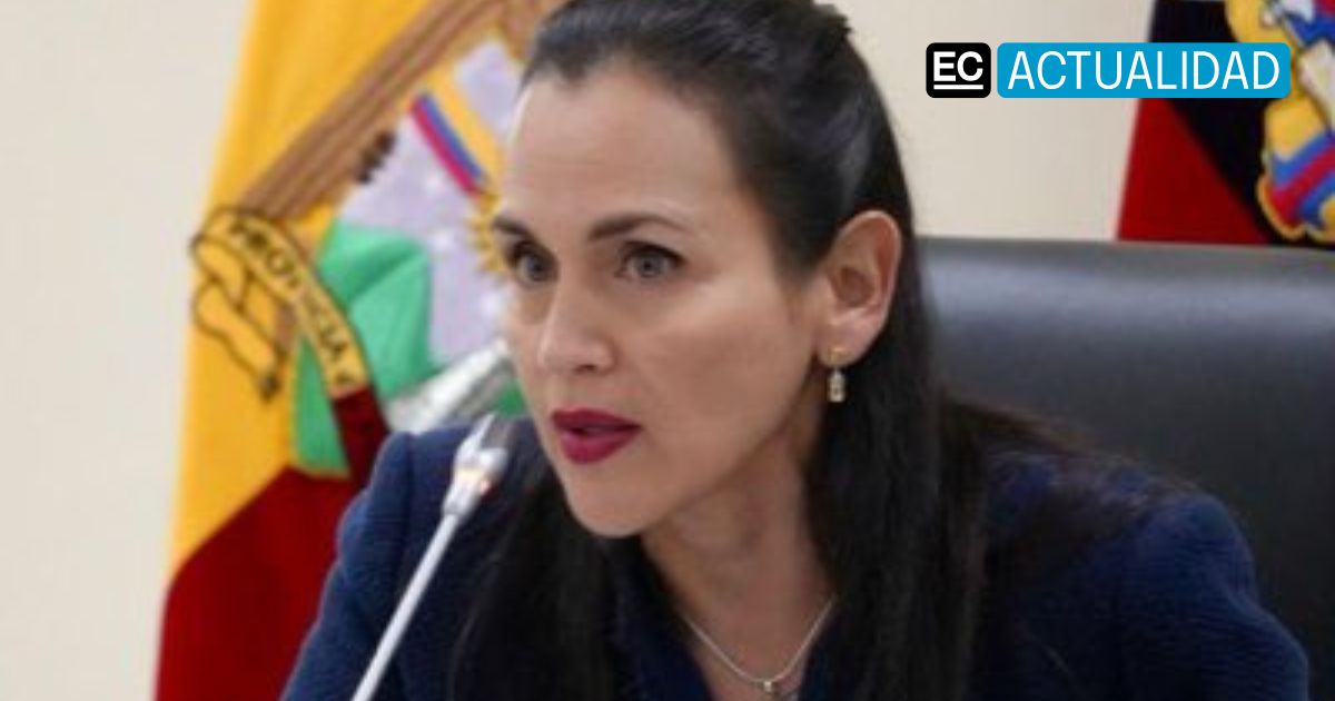 Ministra Inés Manzano se refirió a la posibilidad de cortes de luz en ...