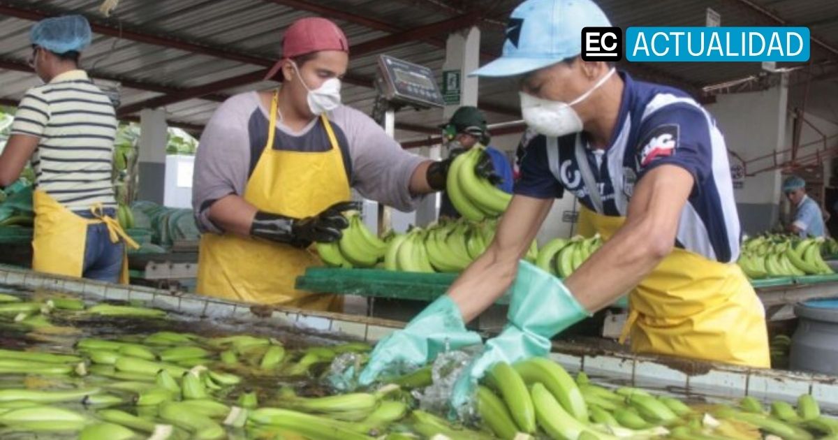 Corte Constitucional decidirá sobre sanciones por incumplimiento del ...