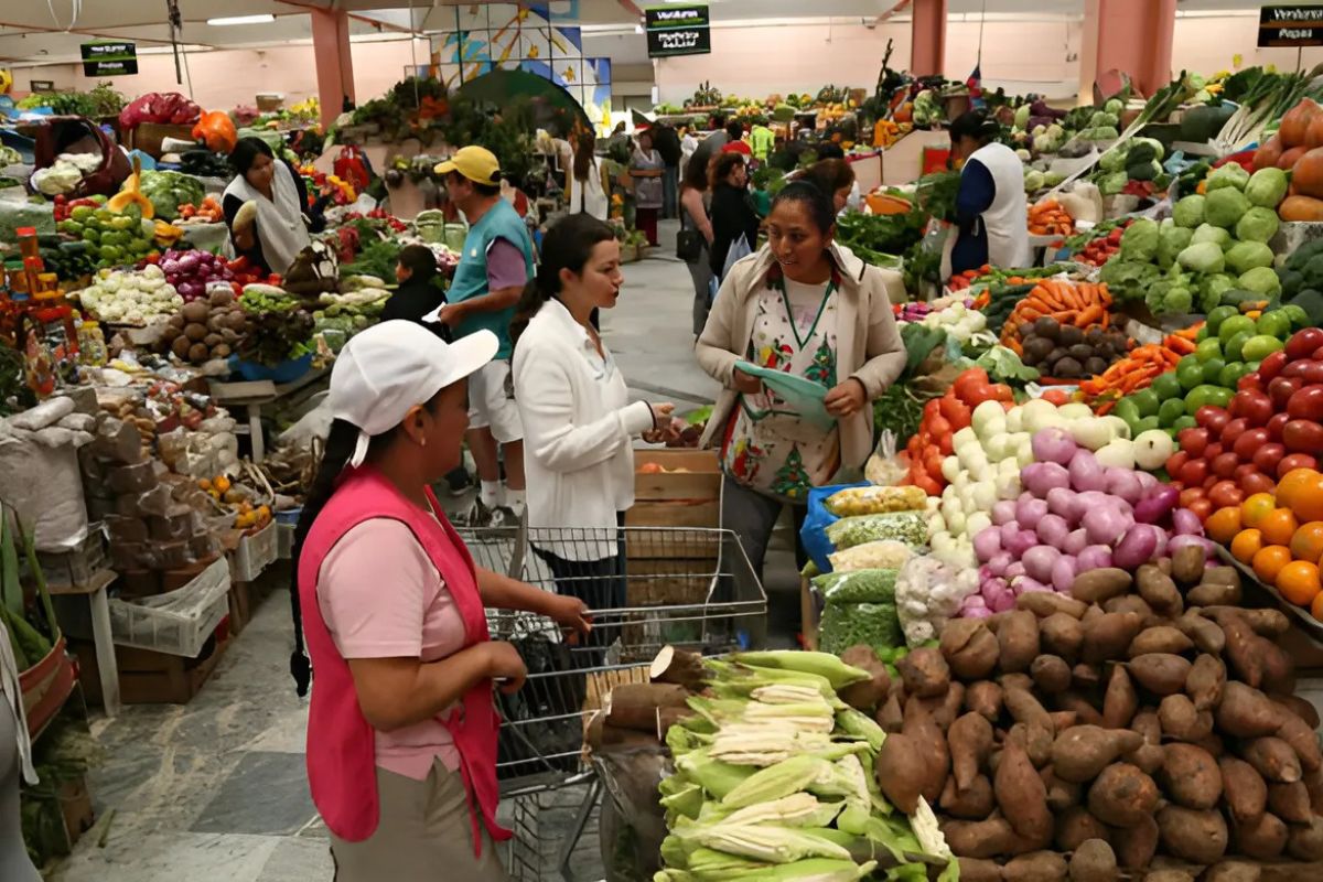 Conozca la diferencia entre canastas familiares: básica y vital en ...