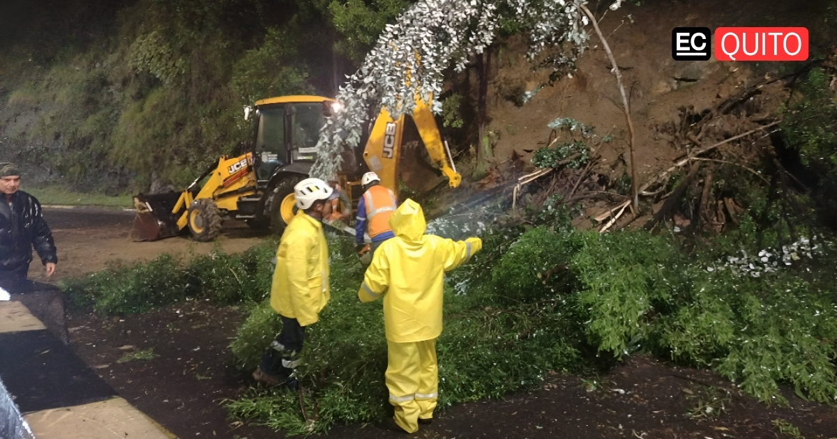 Deslizamientos de tierra en Quito alertan sobre la necesidad de mayor ...