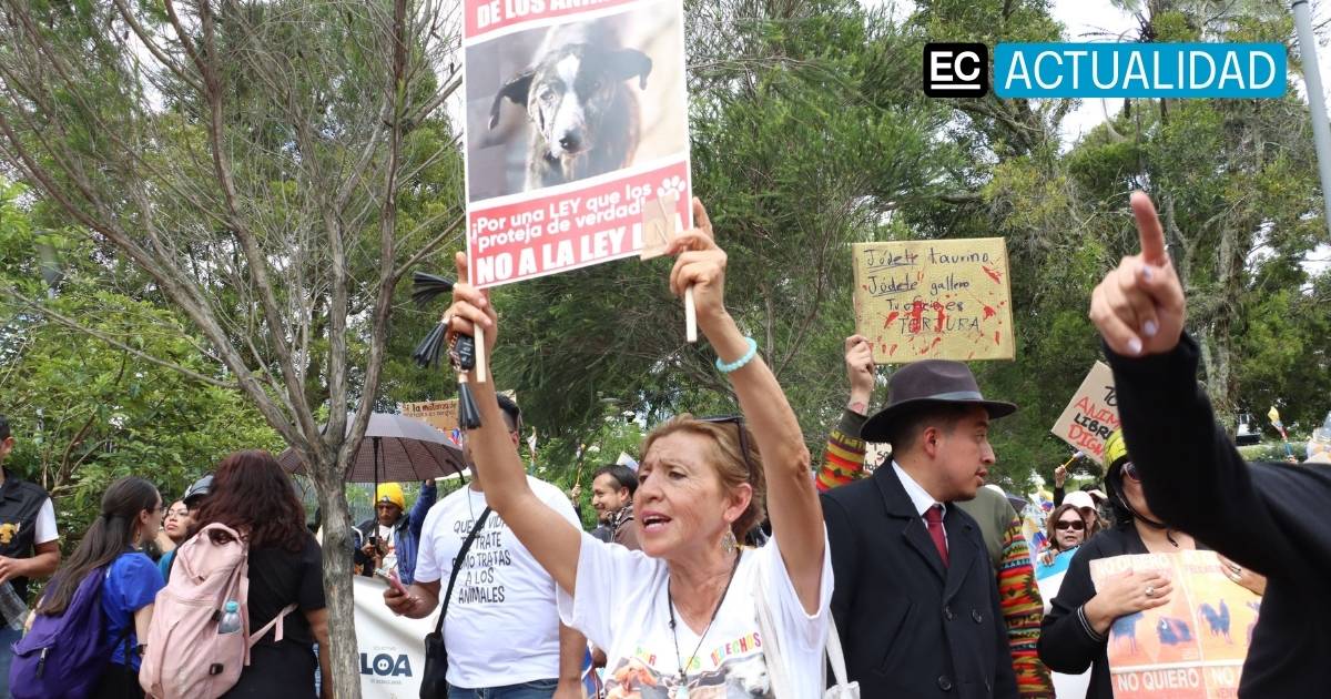 LODA regresa a Comisión tras no alcanzar votos para su archivo en ...