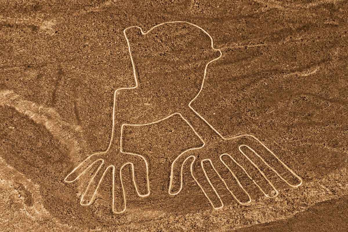 Sobrevolar las Líneas de Nasca en Perú: un viaje entre cultura y ...