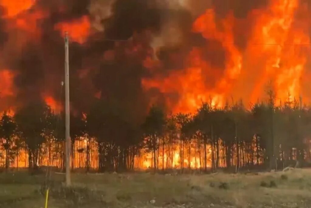 El peor incendio forestal del año en Canadá ya arrasa 300 000 hectáreas ...
