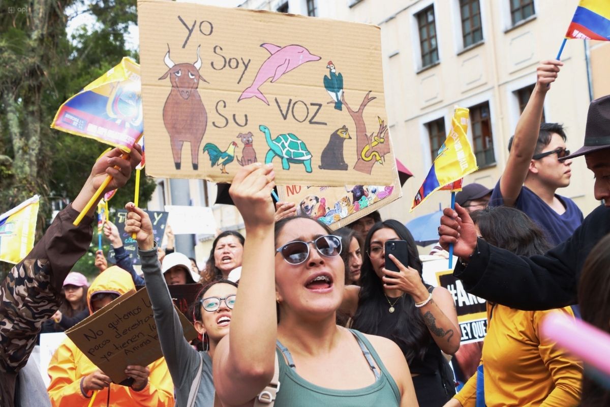 Pleno de la Asamblea archivó el proyecto de la Ley Animalista (LODA ...