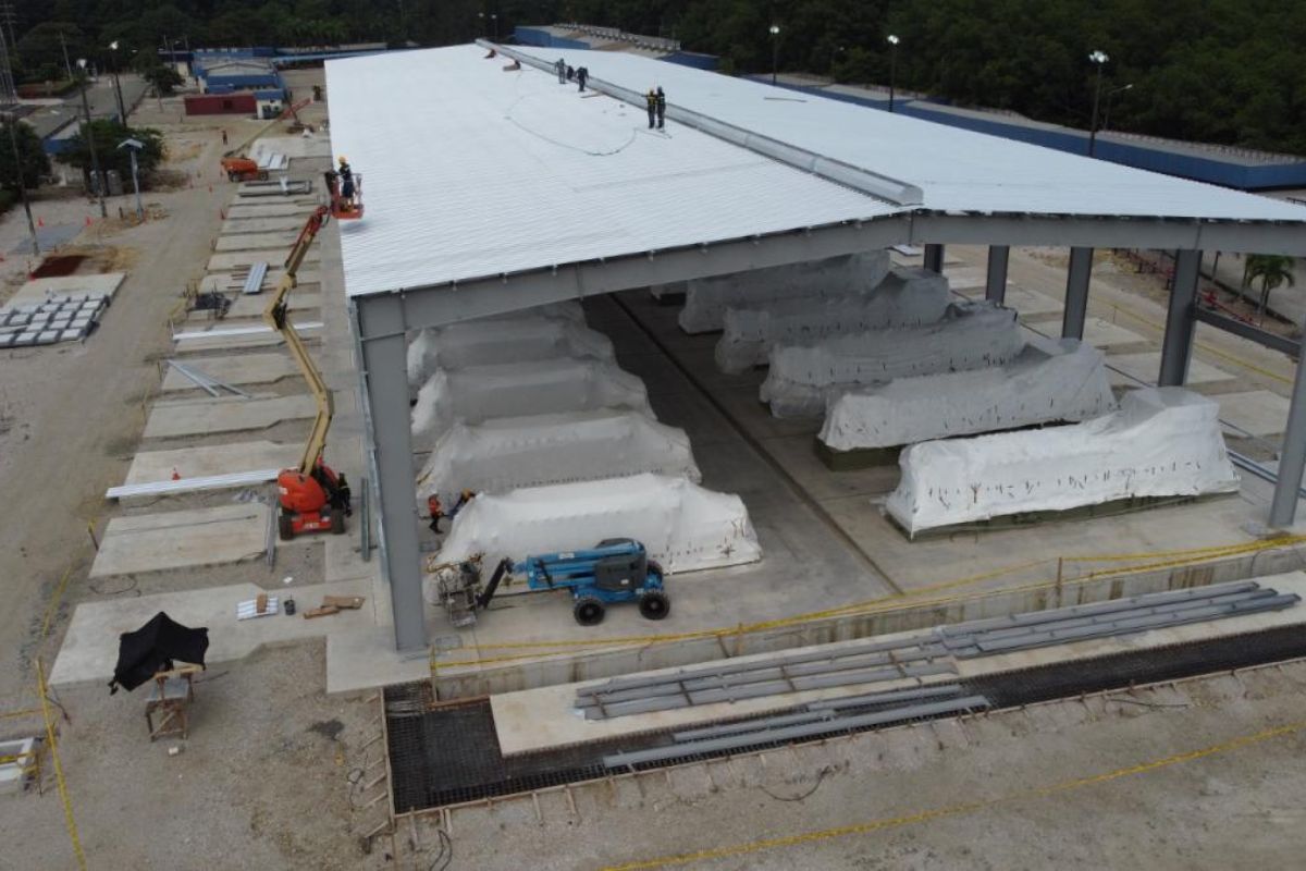 Progen inicia arbitraje de emergencia contra Celec por cancelación de ...