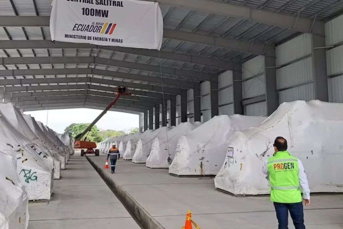 Celec y Progen seguirán vinculadas tras decisión clave de arbitraje ...