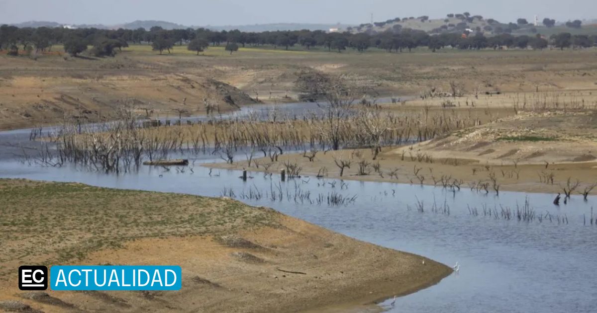 Erome traplaudo e modelo i can definitely recommend this