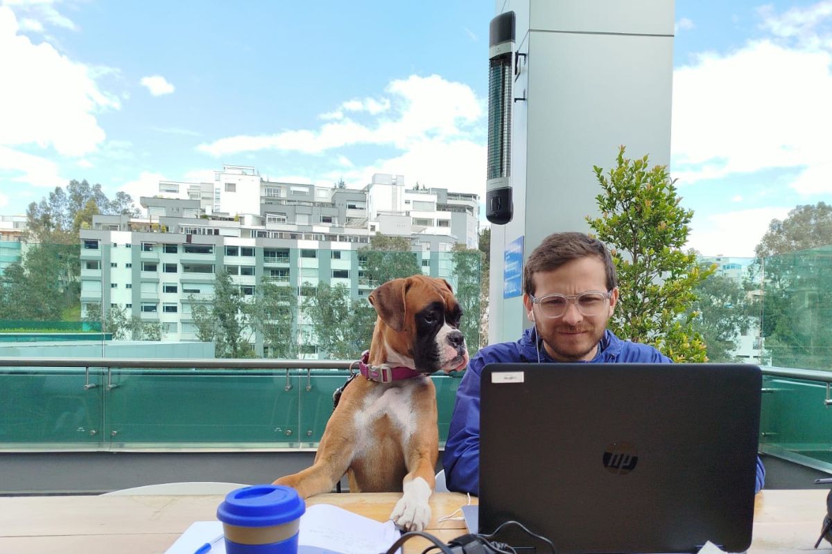 Telefónica Ecuador celebra el Día del Perro con oficinas pet friendly ...