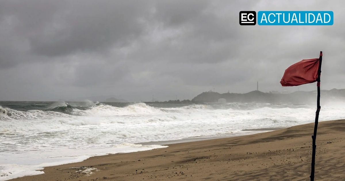 Glosario de términos sobre tsunamis: qué son, cómo se producen y cómo ...