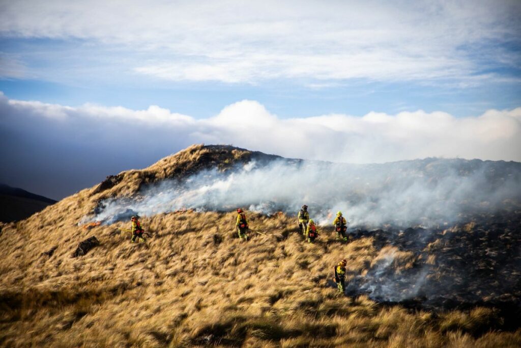 450 incendios forestales arrasan 2 242 hectáreas de bosque en 2025 - El ...