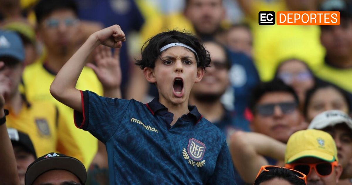 Aleyna 17 stifte 1 kabel video