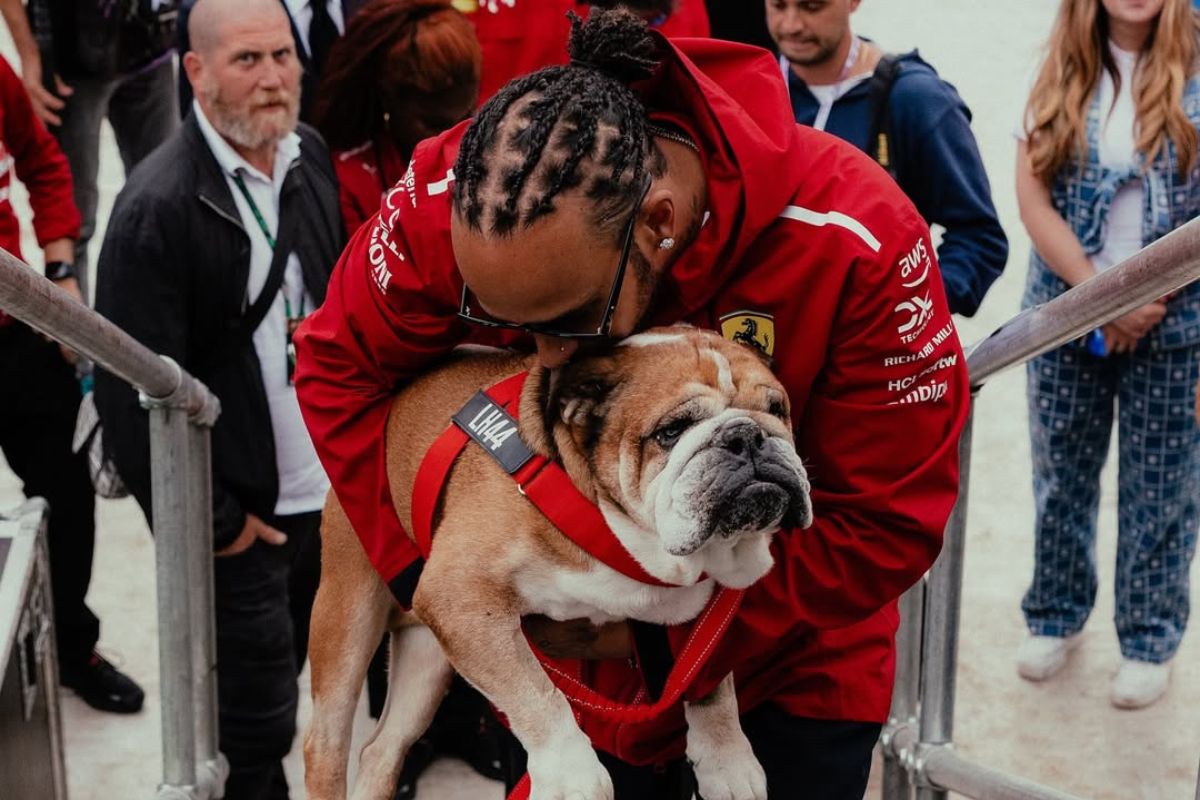 Murió Roscoe, el amado perro de Lewis Hamilton - El Comercio