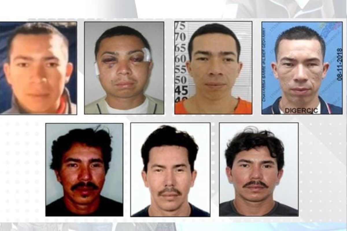 Alias ‘Pipo’, cabecilla de Los Lobos, se sometió a cirugías plásticas ...