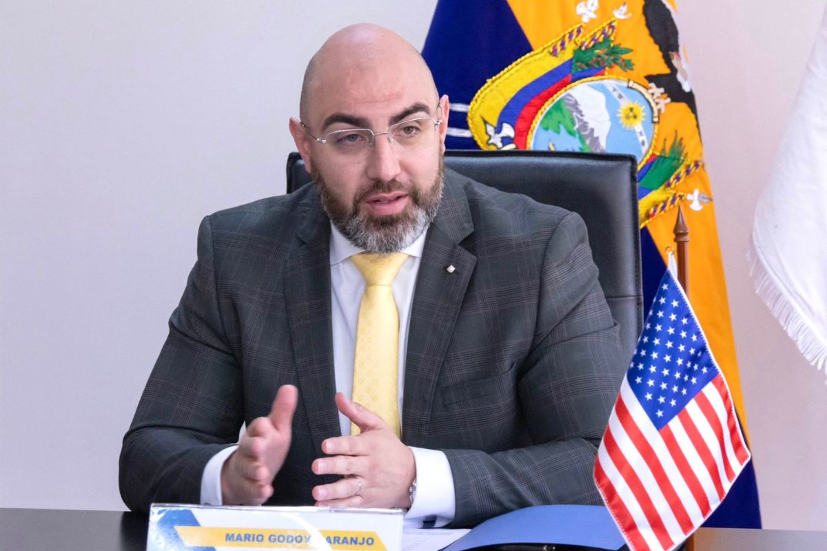 Mario Godoy solicita licencia para preparar su comparecencia en la ...