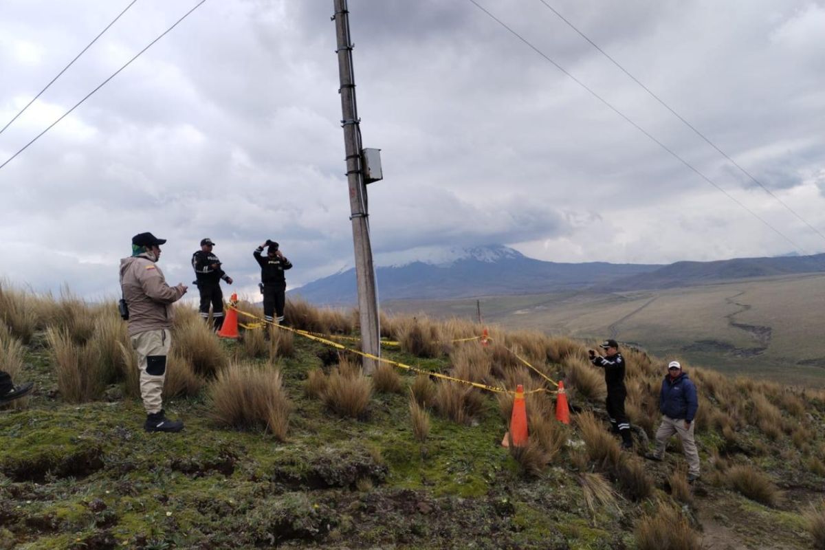 Encuentran el cuerpo de un cóndor joven en el Parque Nacional Antisana - El Comercio