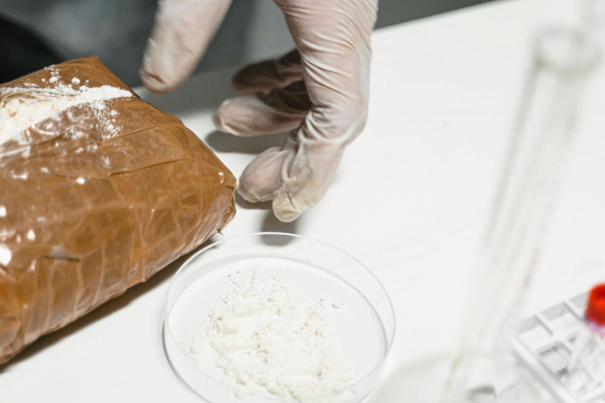 Perro antidrogas detectó cocaína oculta en artesanías durante un ...