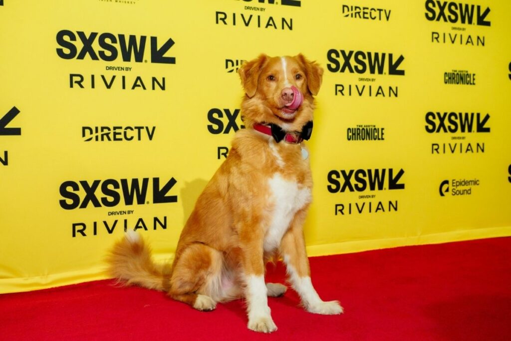 Indy, el actor más inesperado de la noche, se llevó un premio de cine ...