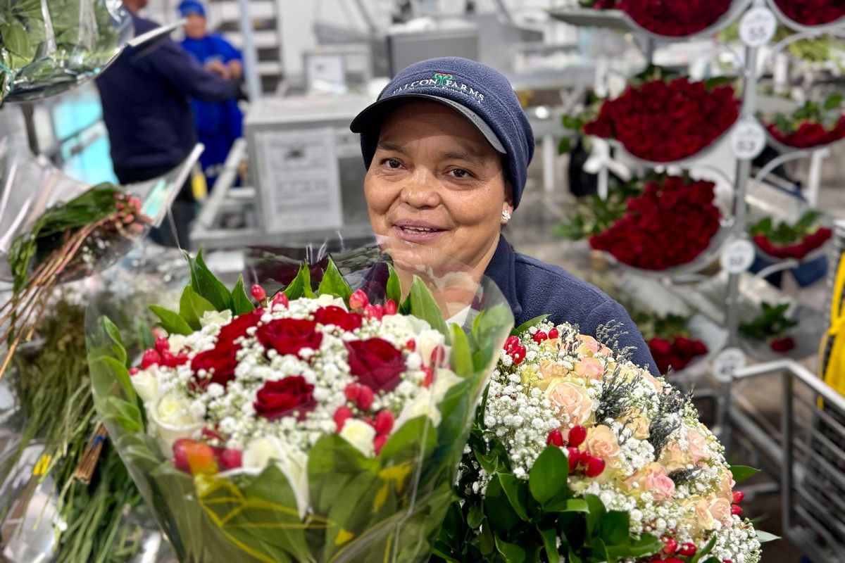 Tras 19 años las flores de Ecuador logran ventaja clave frente a ...